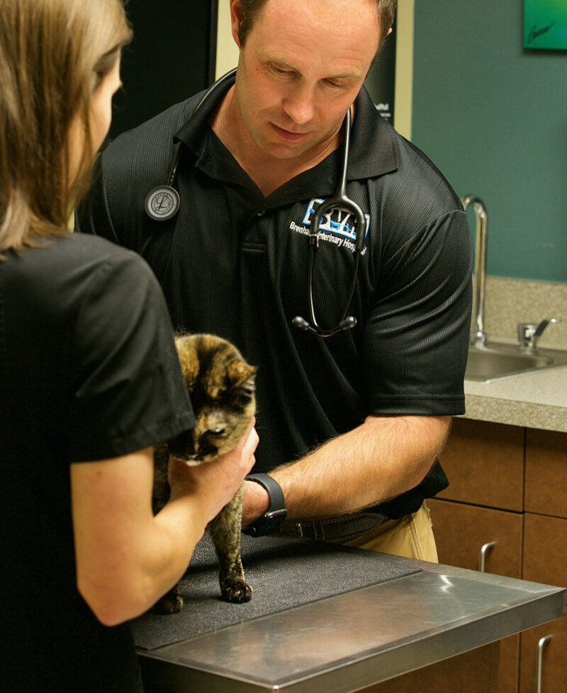 Our Doctors - Brenham Veterinary Hospital
