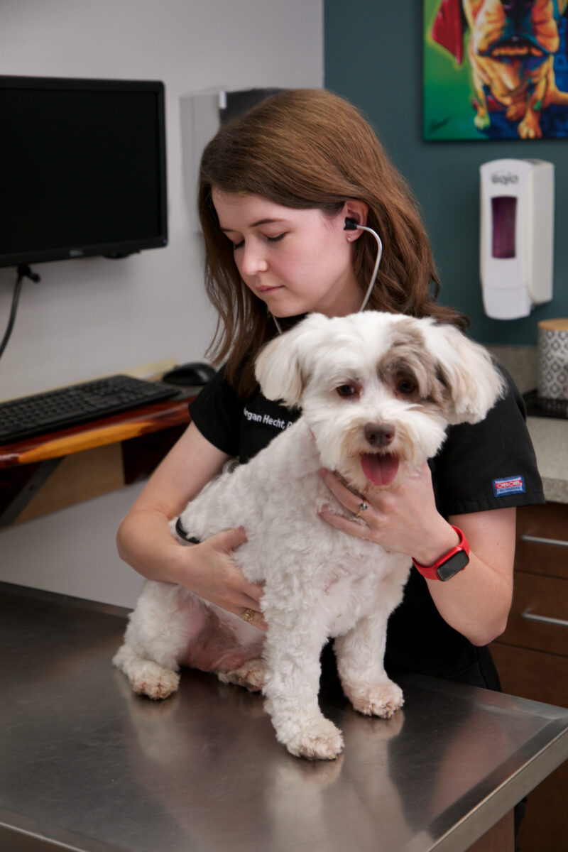 Our Doctors - Brenham Veterinary Hospital
